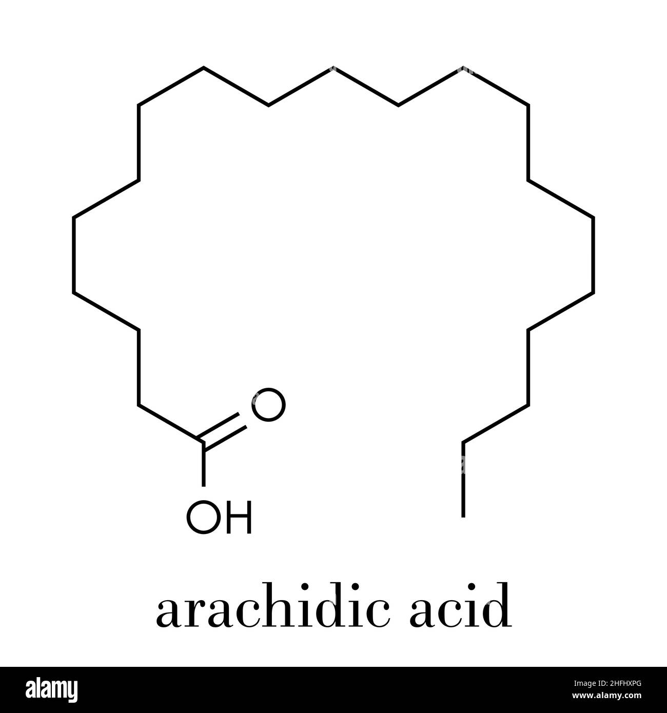 Arachidonic Acid Structure