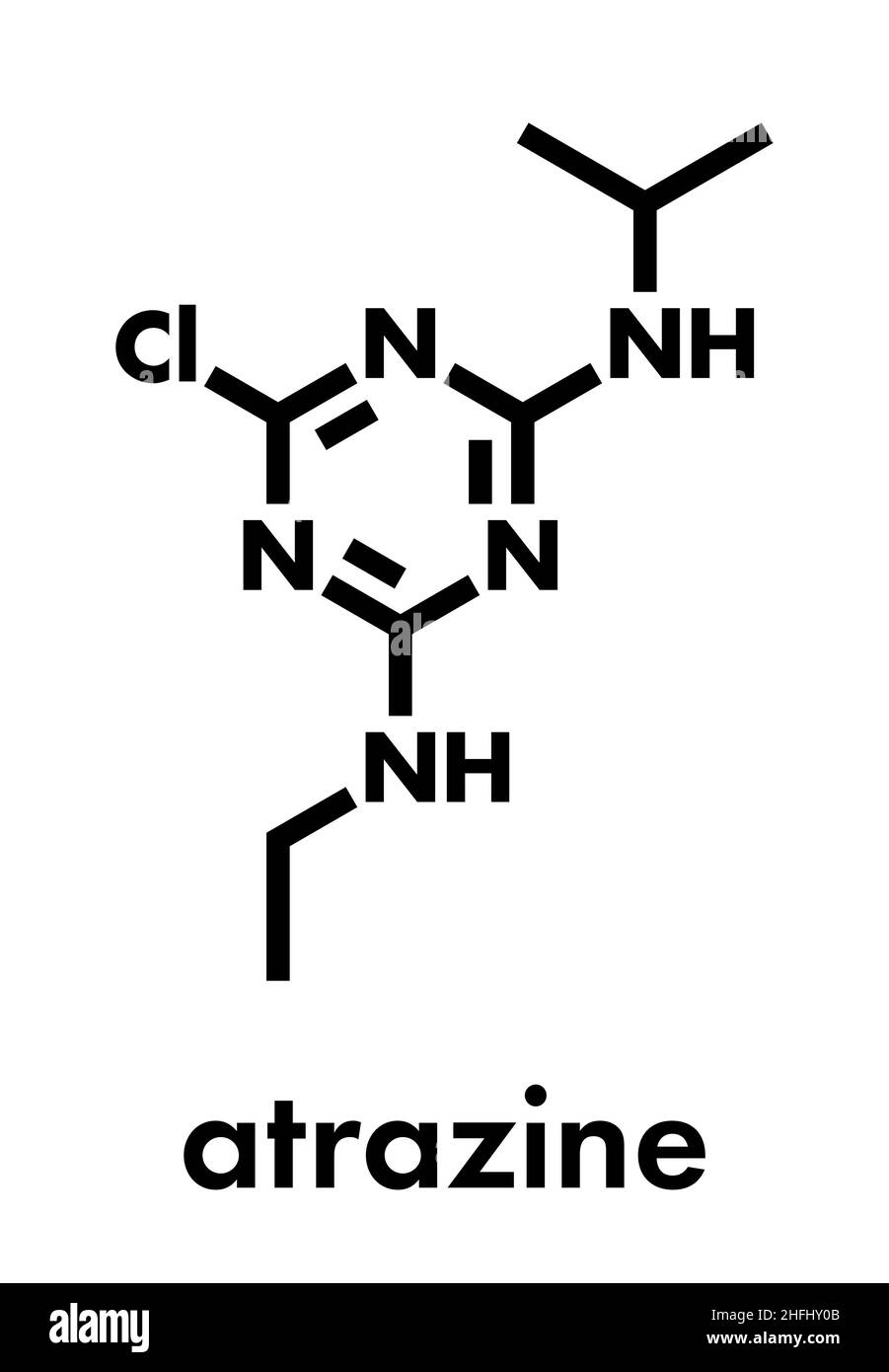 Sugarcane weed Stock Vector Images - Alamy