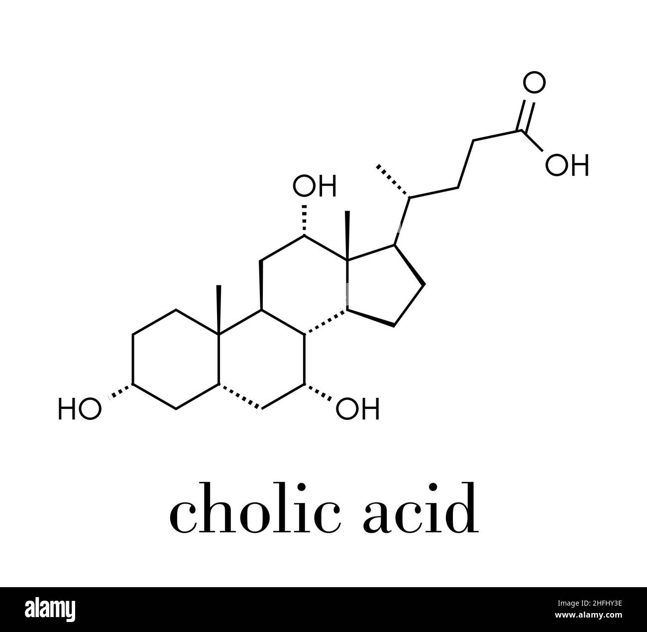 Cholic acid (cholate) molecule. Main bile acid component. Skeletal ...