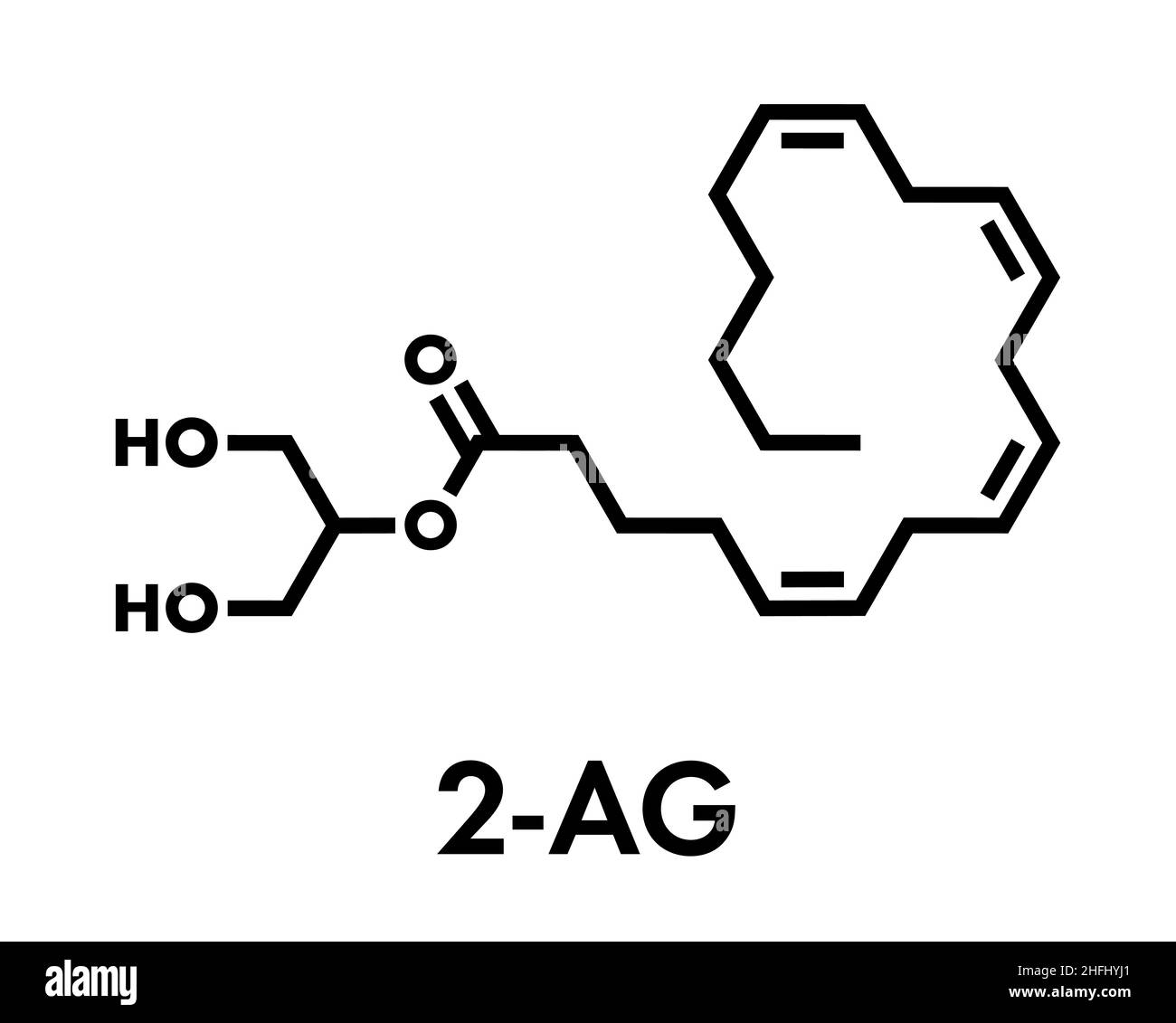 2-Arachidonoylglycerol (2-AG) endocannabinoid neurotransmitter molecule ...