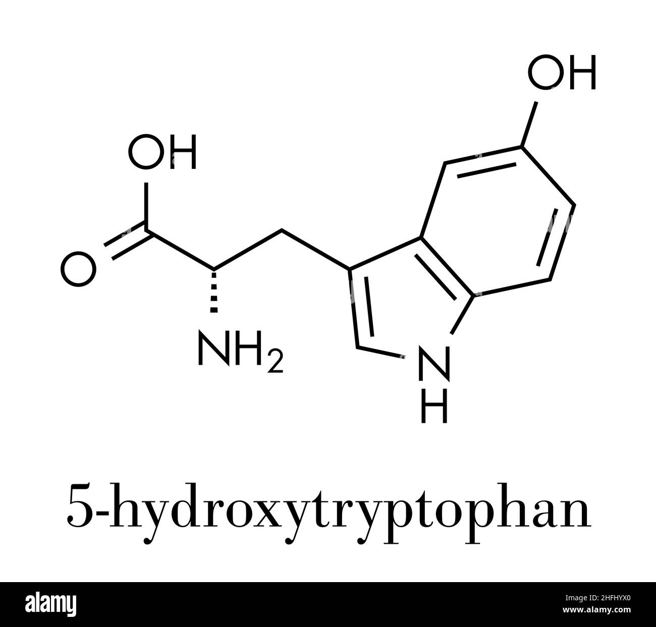 5-Hydroxytryptophan amino acid molecule. Skeletal formula Stock Vector ...