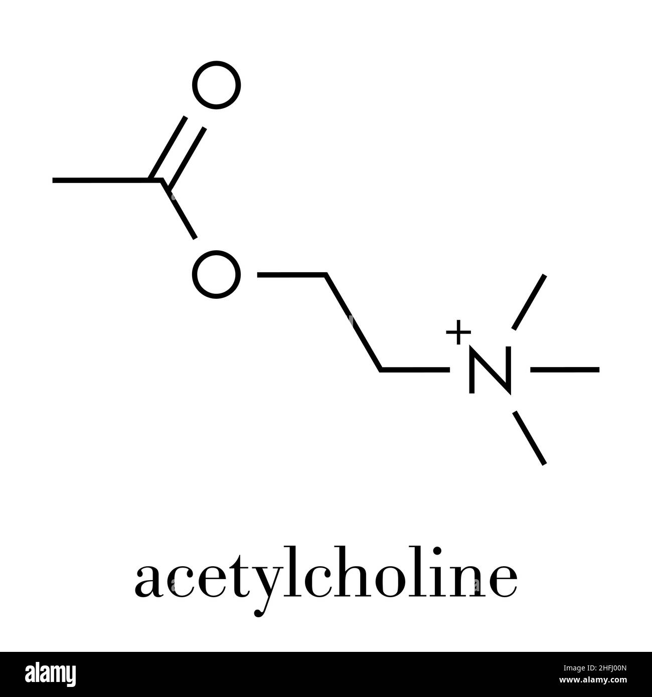 Acetylcholine Chemical Structure
