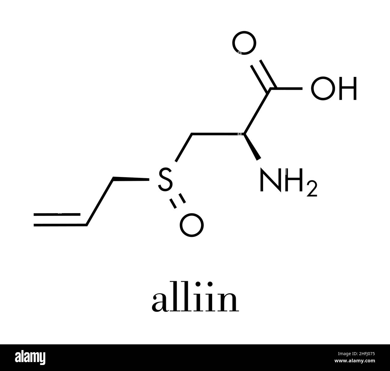 Alliin garlic molecule. Skeletal formula Stock Vector Image & Art - Alamy