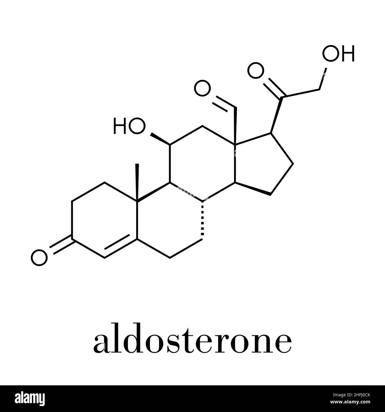 Structure of adrenal gland hi-res stock photography and images - Alamy