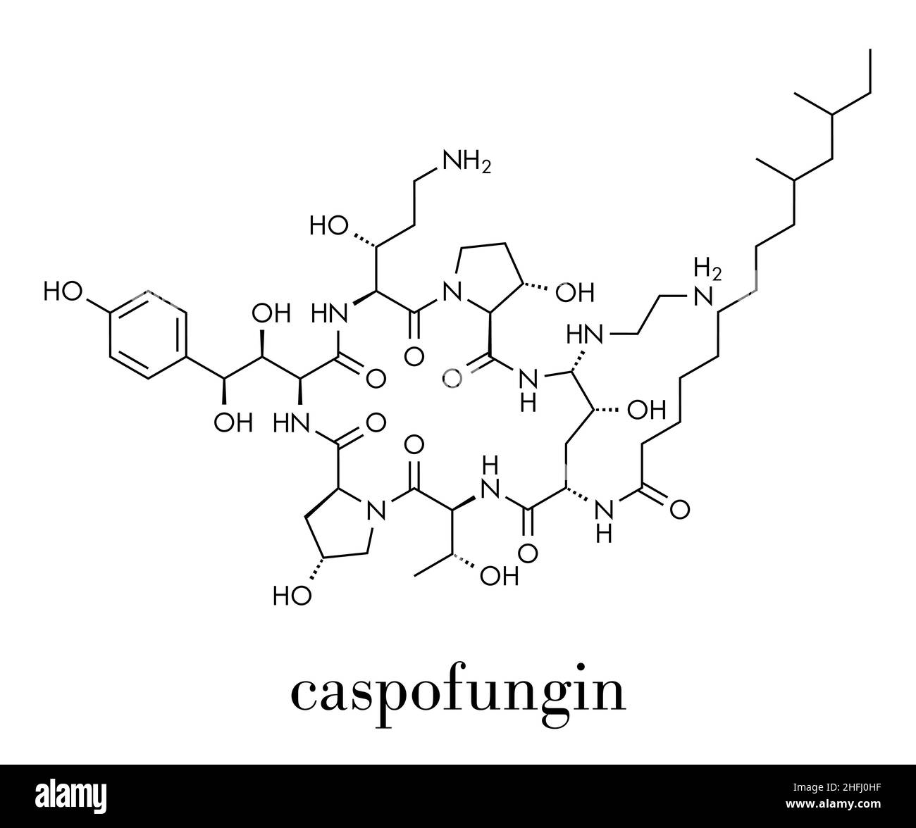 Caspofungin antifungal drug molecule. Skeletal formula Stock Vector ...