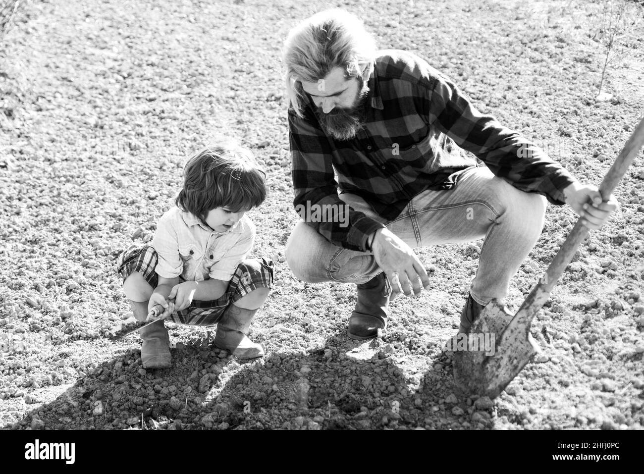Family planting a tree. Son helping father. Dad and kid gardening in ...