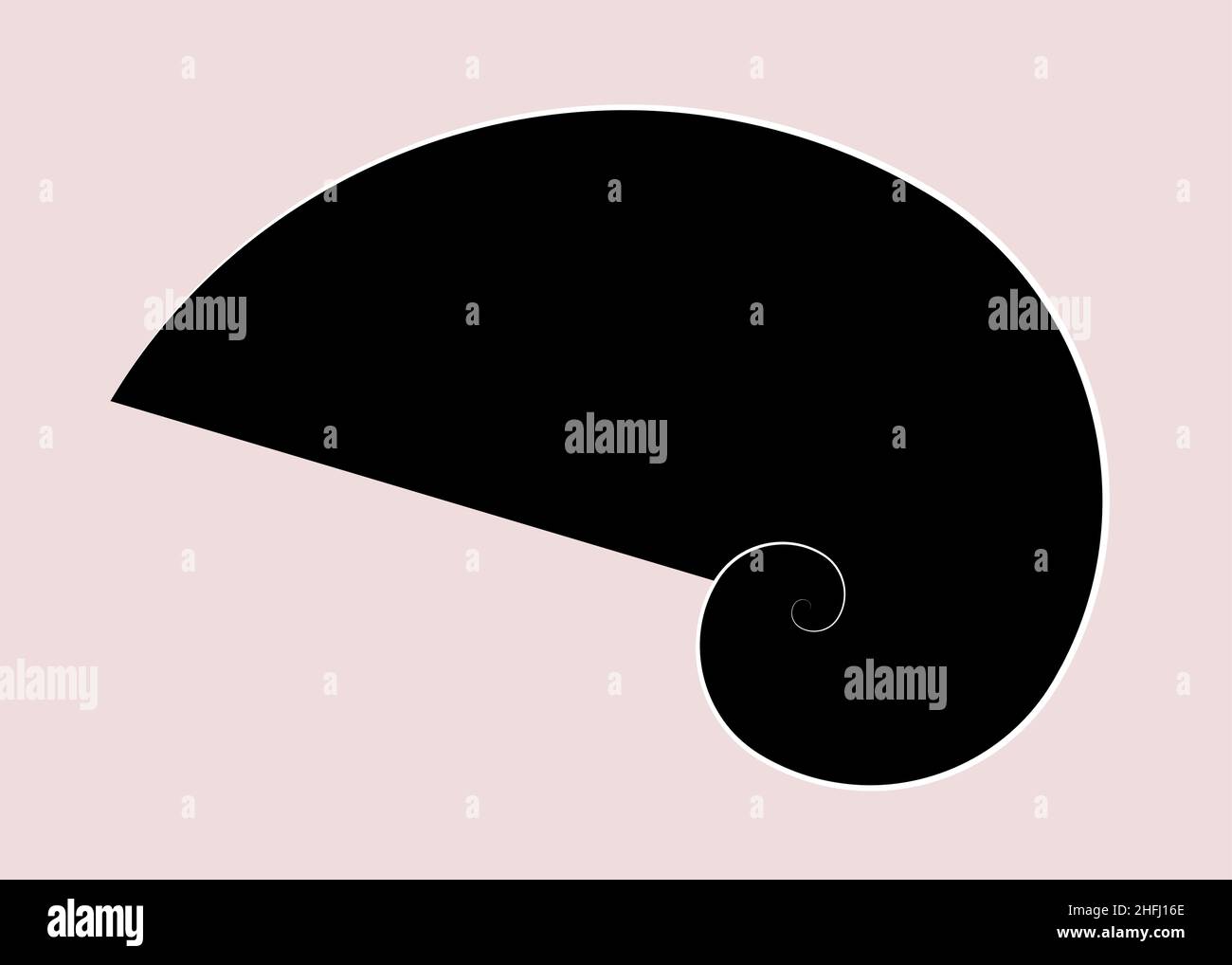 Logarithmic spiral shell Stock Vector Images - Alamy