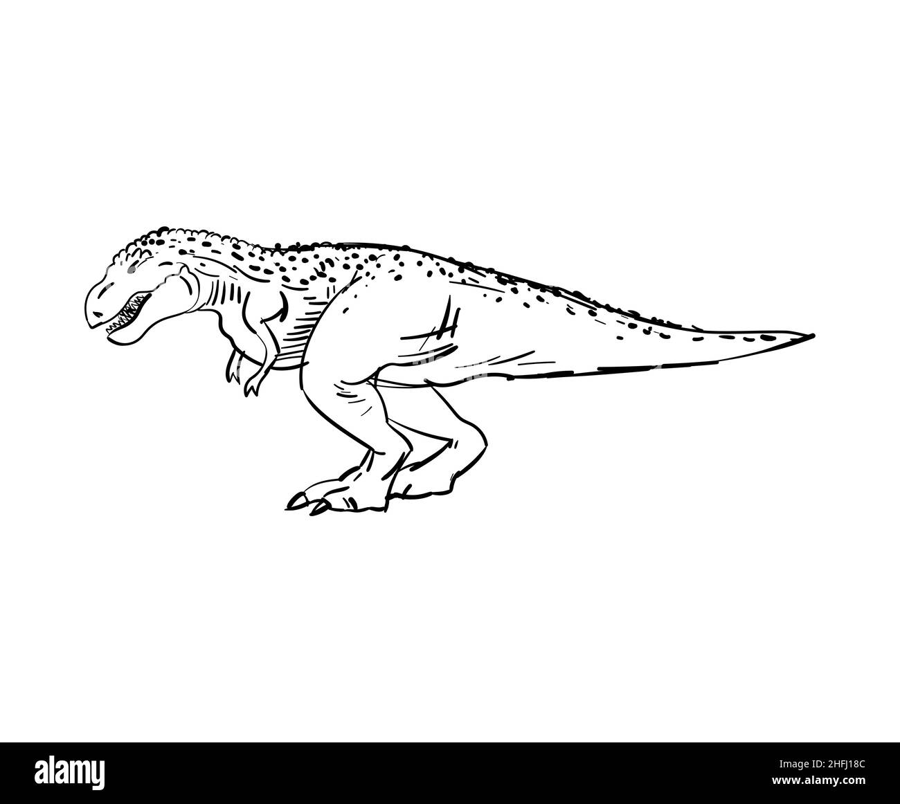 Tyrannosaurus Dinosaur T-Rex hand drawing. Vector illustration Stock ...