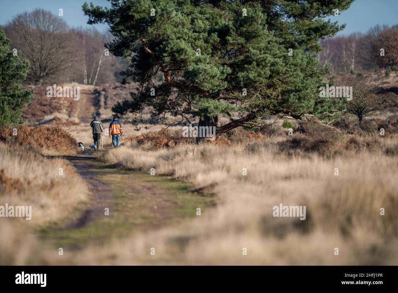 Ex military hi-res stock photography and images - Alamy