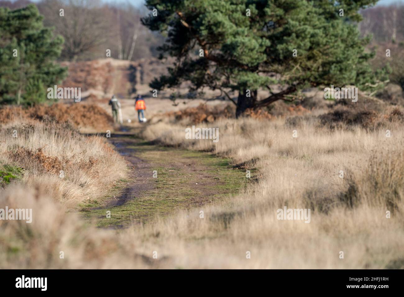 Men exercising their dogs on Budby Common, an ex-military training ...
