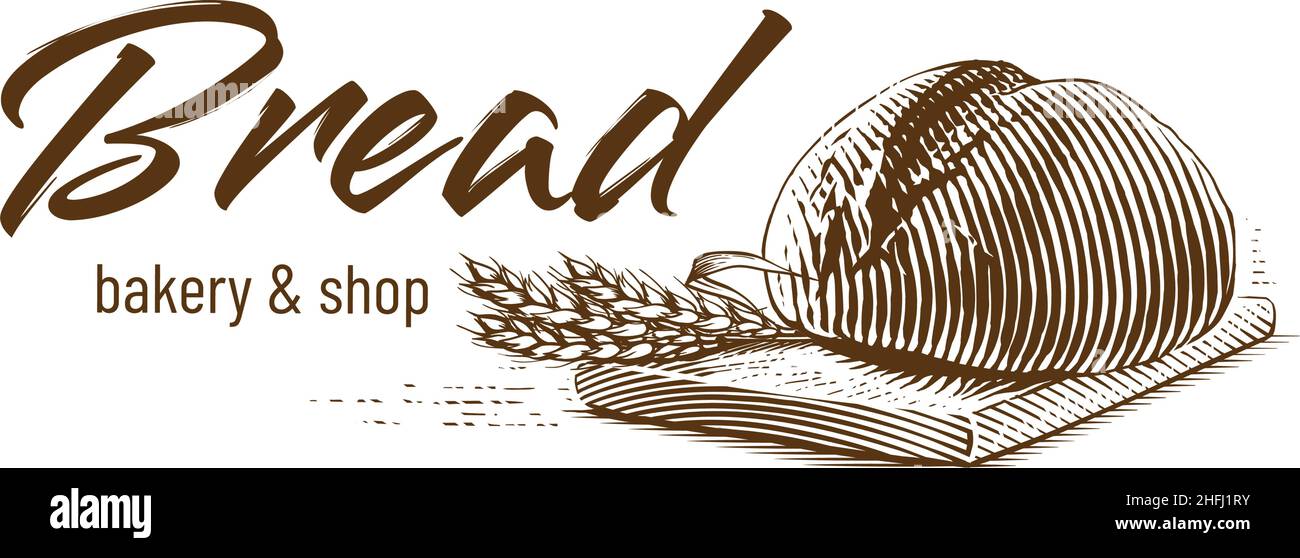 round bread Hand drawing sketch engraving illustration style Stock ...