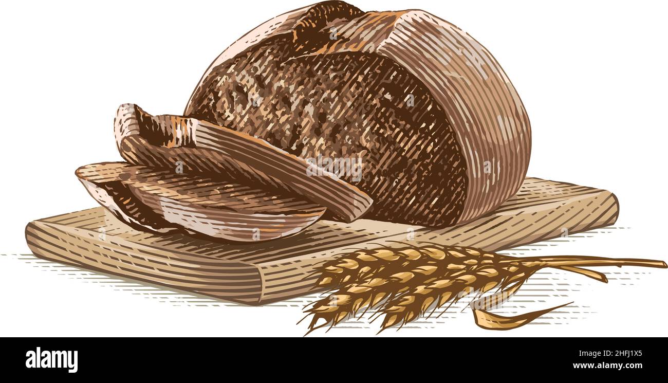 colorful sliced bread composition Hand drawing sketch engraving ...