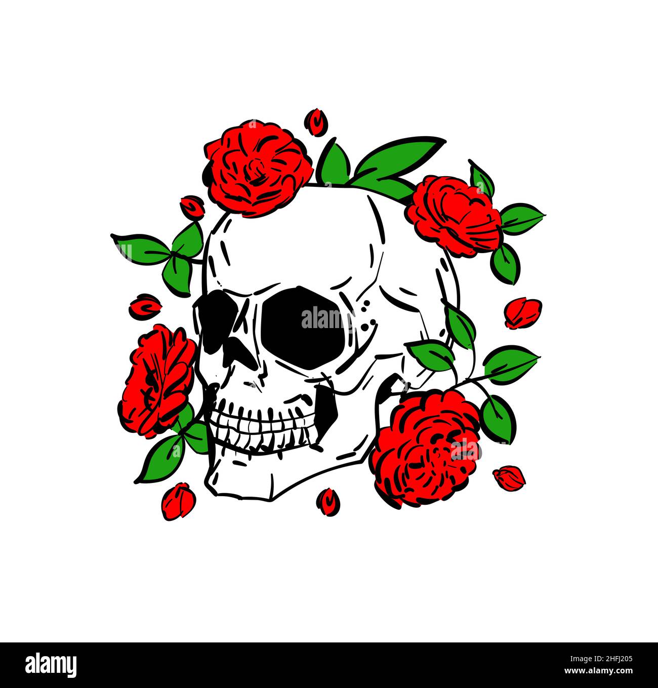 Skull and flowers. Hand drawing Skeleton and roses. Death Vector ...