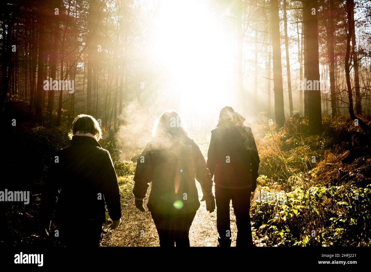 Shadow walking through trees hi-res stock photography and images - Alamy