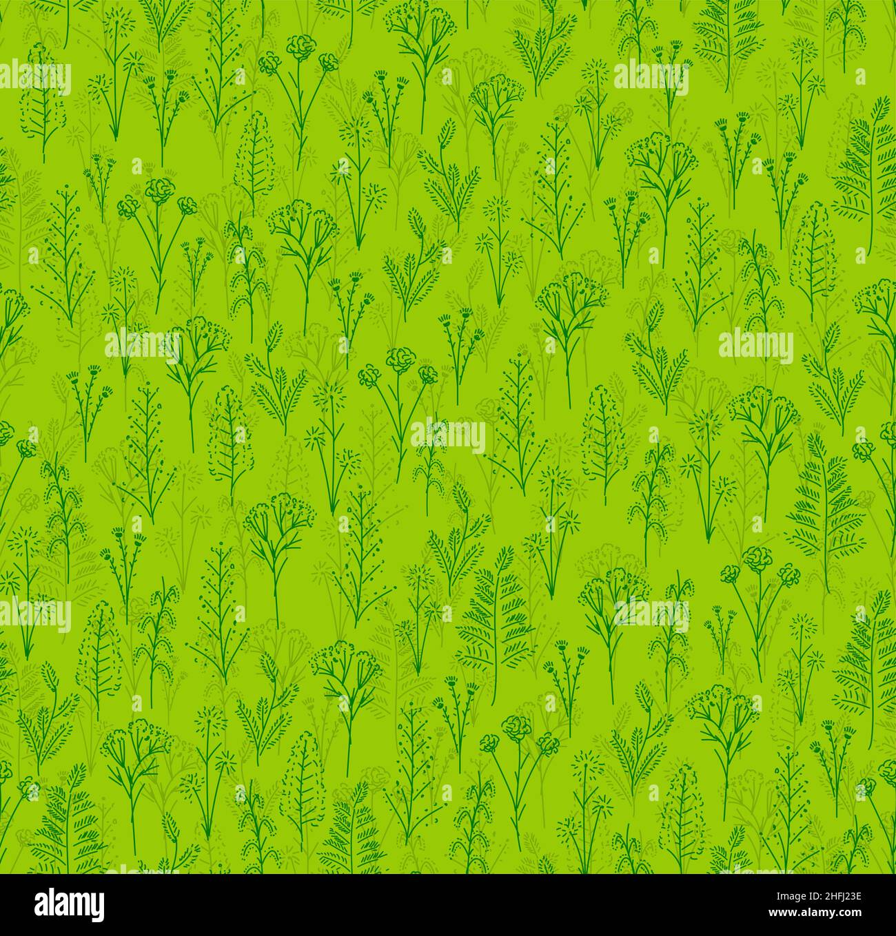 Plants wildflowers Stock Vector Images - Alamy