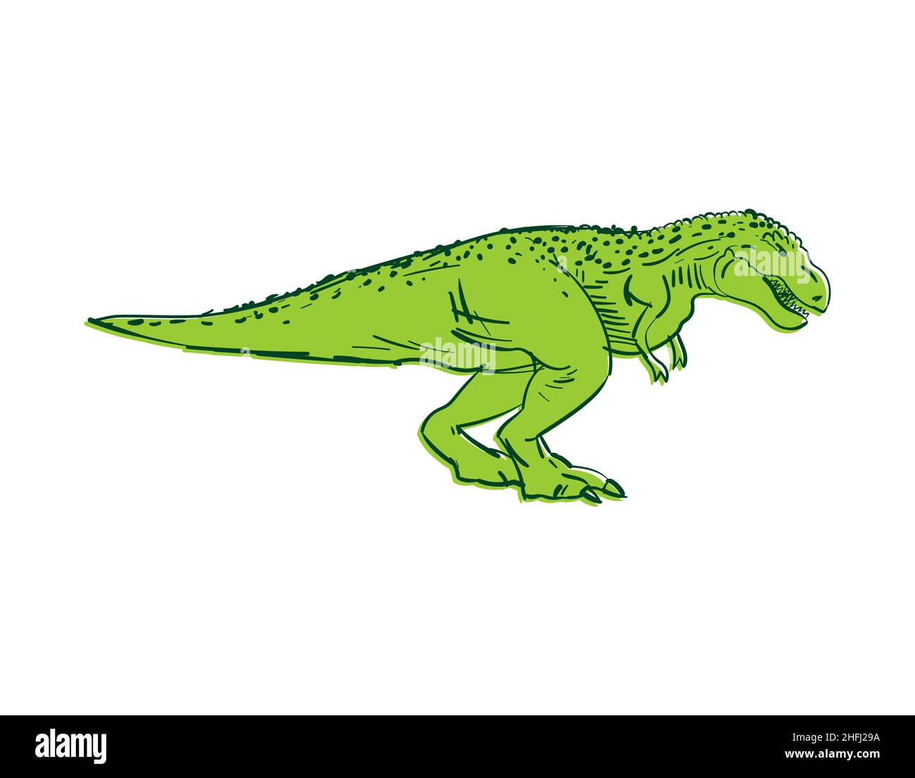 Tyrannosaurus Dinosaur T-Rex hand drawing. Vector illustration Stock ...