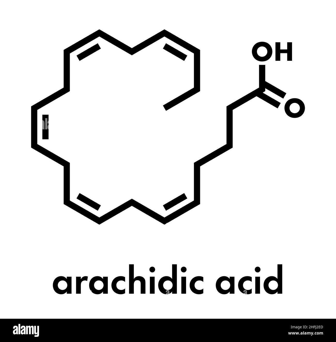 Arachidic (eicosanoic) acid molecule. Saturated fatty acid. Skeletal ...