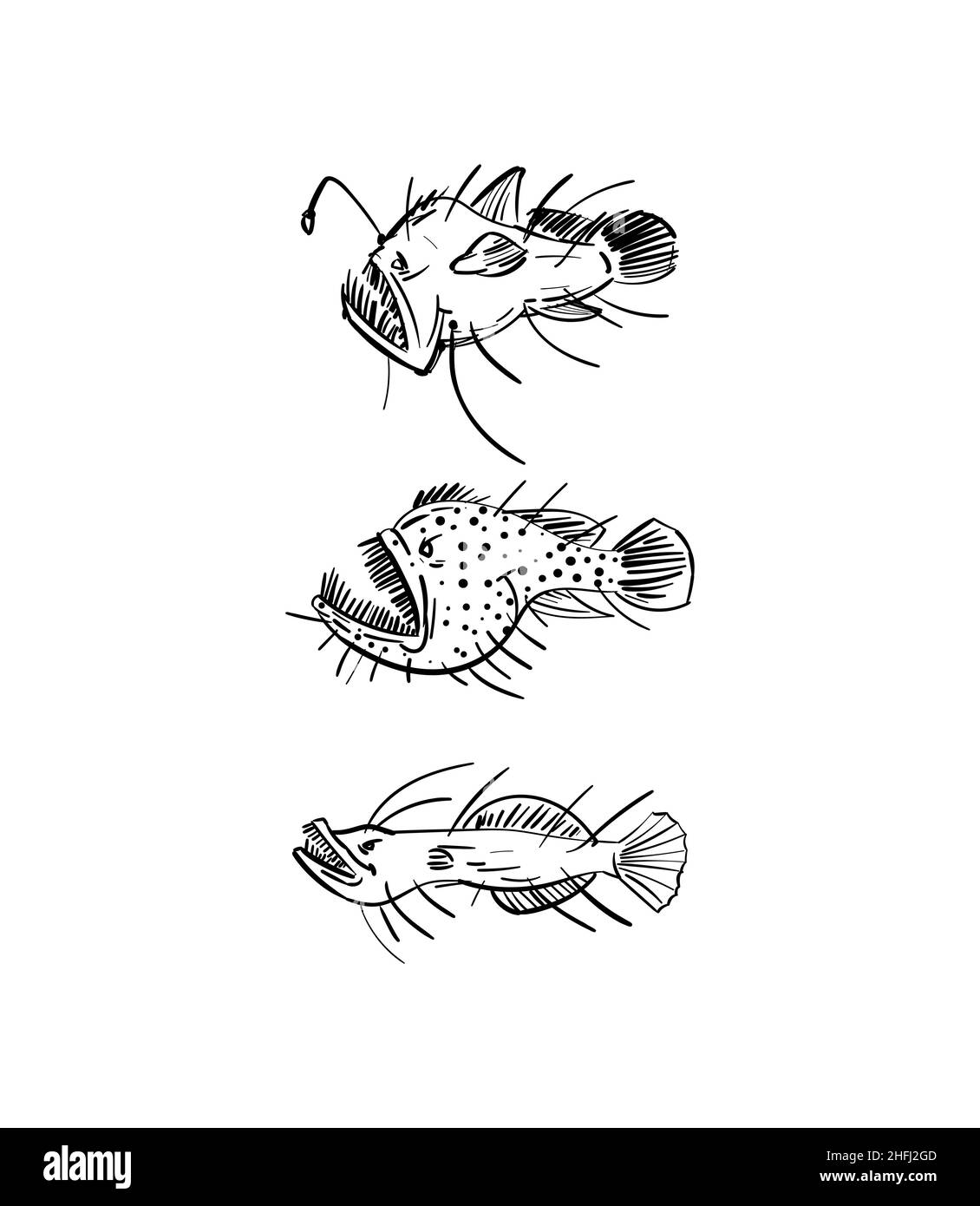 Deep sea anglerfish Black and White Stock Photos & Images - Alamy