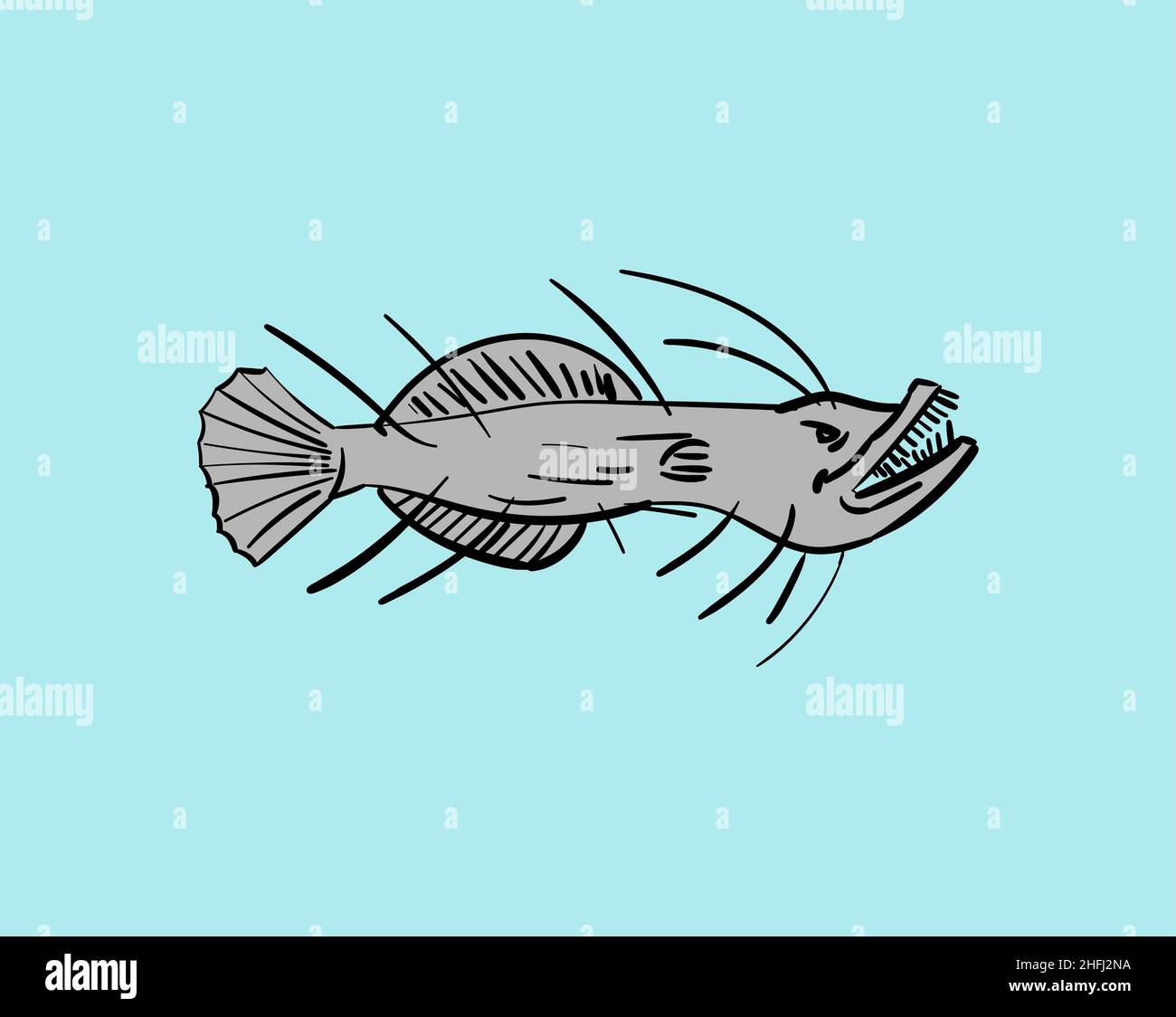 Angler Fish Drawing