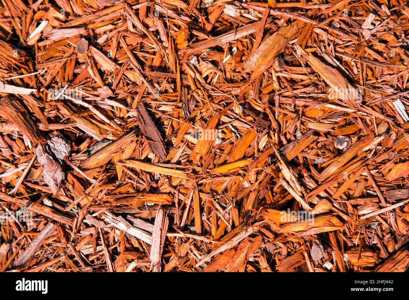 Background of natural wood shavings from a tree Stock Photo - Alamy