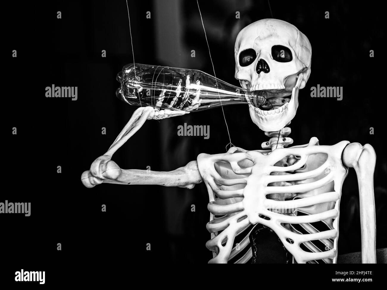 Drunk skeletons, Happy Halloween Skeleton for background Stock Photo ...