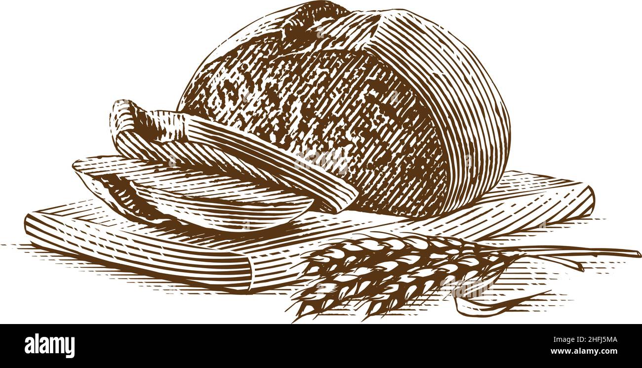 Bread loaf drawing hi-res stock photography and images - Alamy