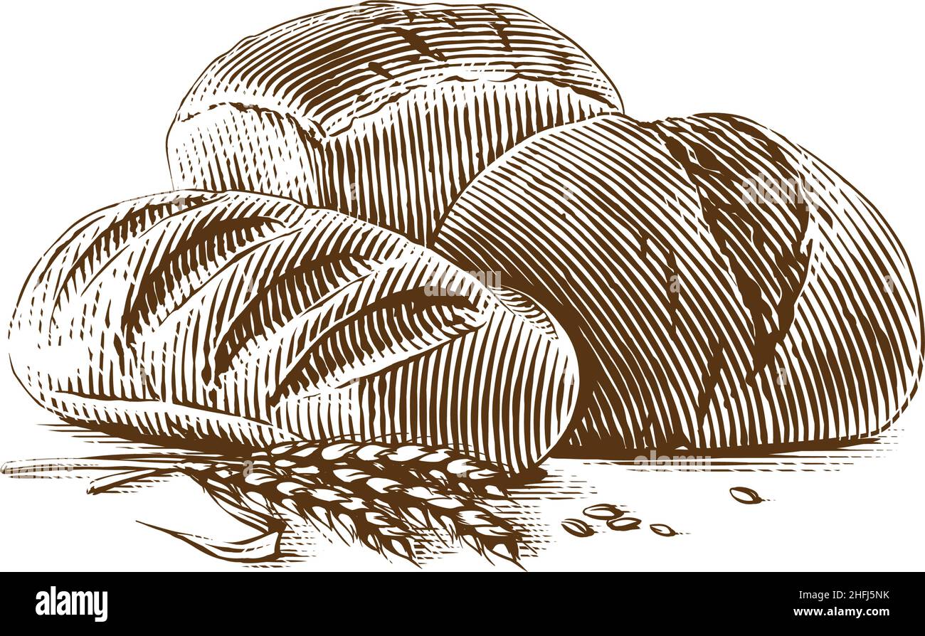 bread, loaf and brick bread Hand drawing sketch engraving illustration ...