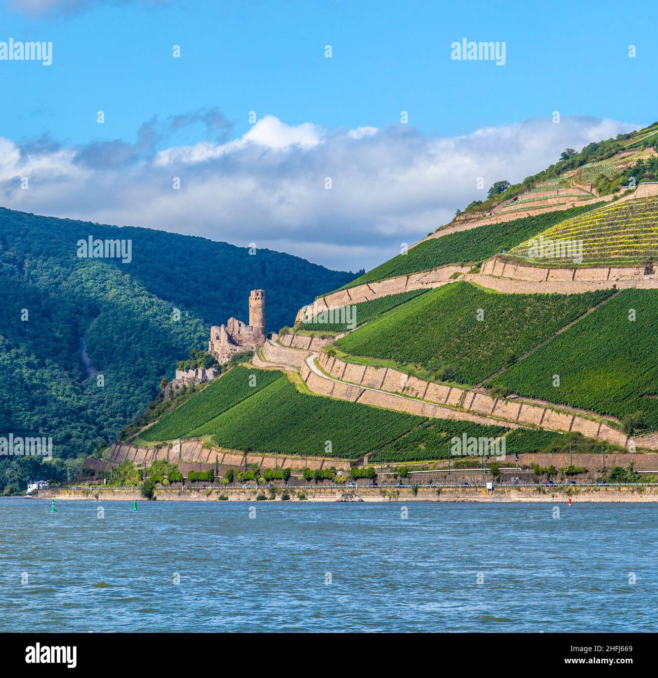 Ehrenfels castle in the vineyards of the romantic Rhine valley Stock ...