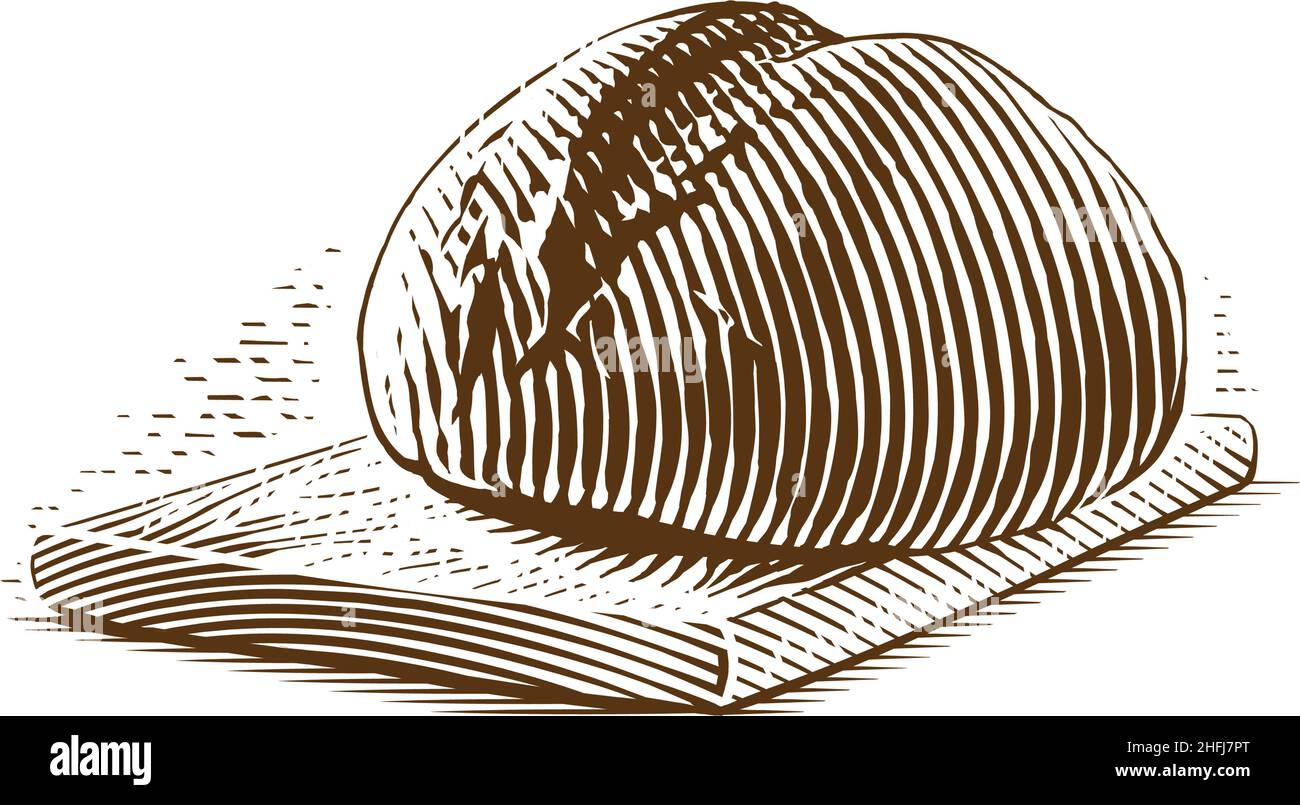 round bread Hand drawing sketch engraving illustration style Stock ...