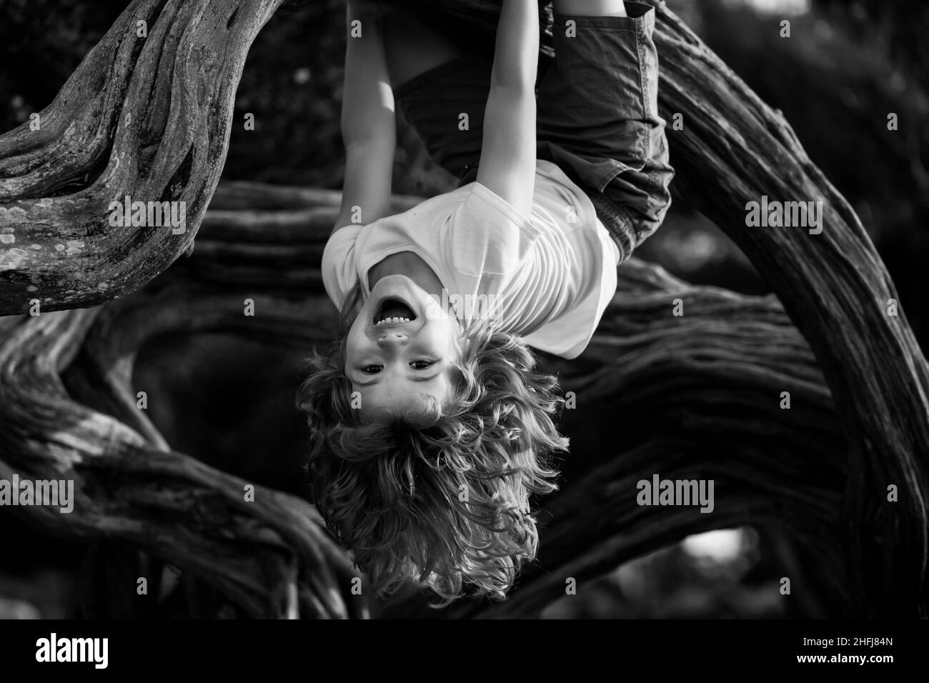 Child hanging upside down tree Black and White Stock Photos & Images ...