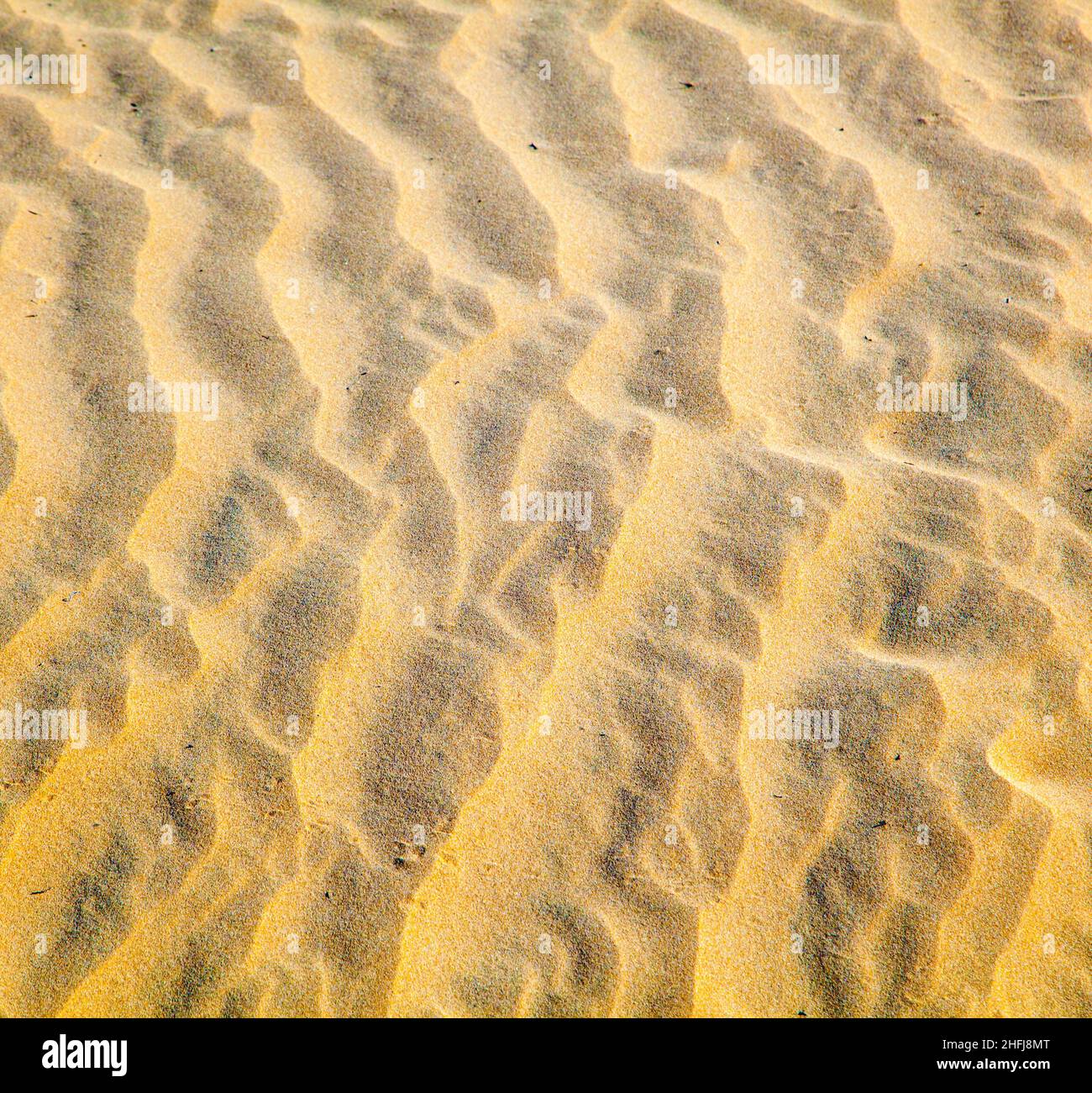pattern of sand dunes at the beach Stock Photo - Alamy