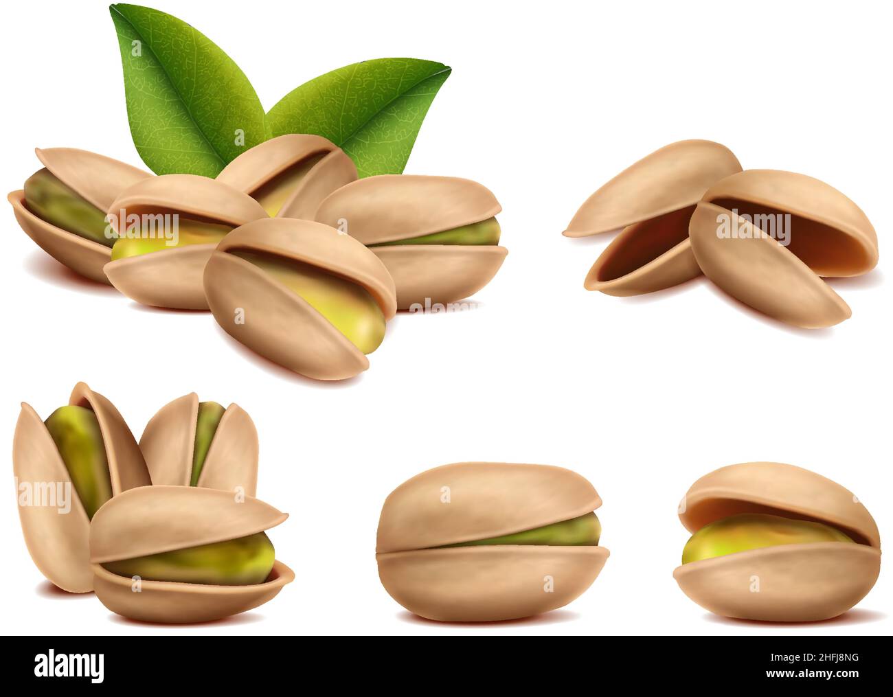 realistic vector icon. Design element for packaging, banners ...