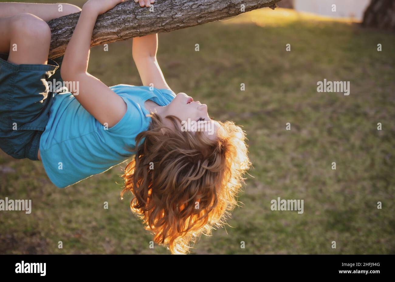 Childhood leisure and kids activities concept. Child hanging upside down on tree and having fun ...