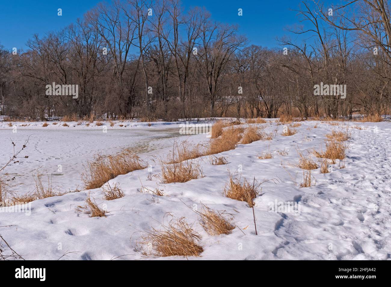 Savanna ecology hi-res stock photography and images - Alamy
