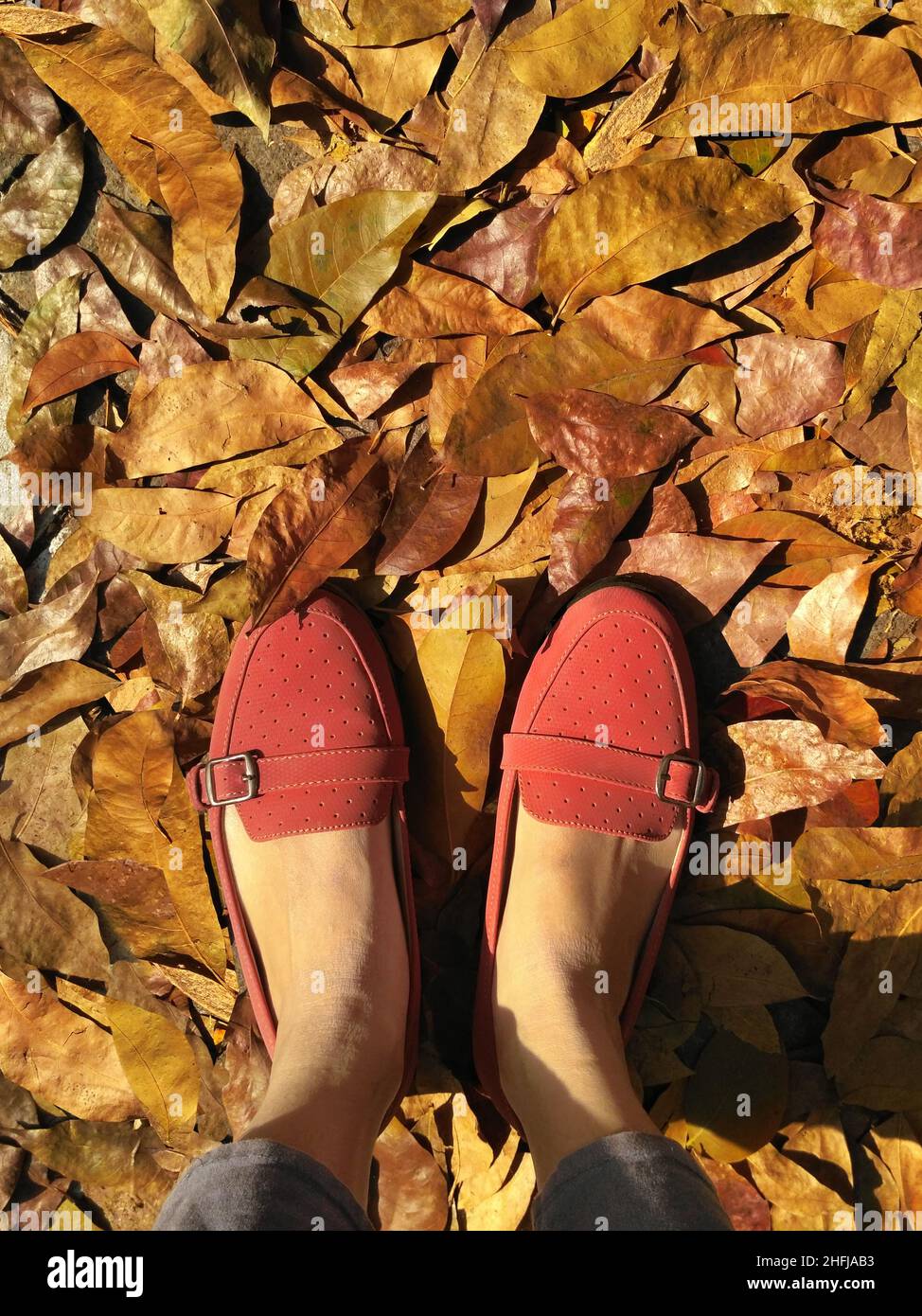 Girl shoes hi-res stock photography and images - Alamy