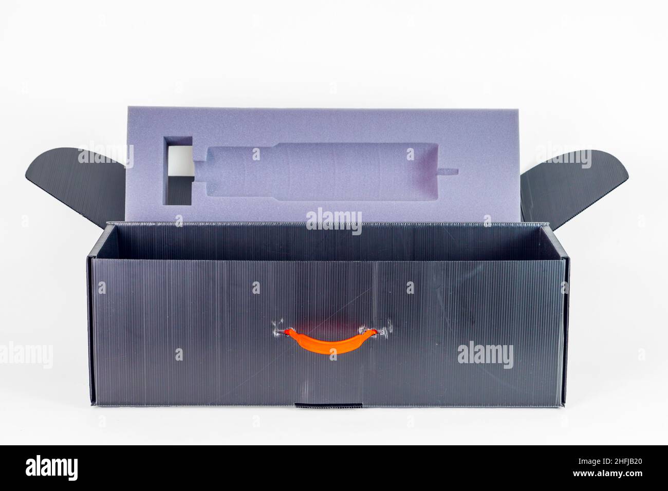 Close up handsome grey Cut Out Stock Images & Pictures - Alamy