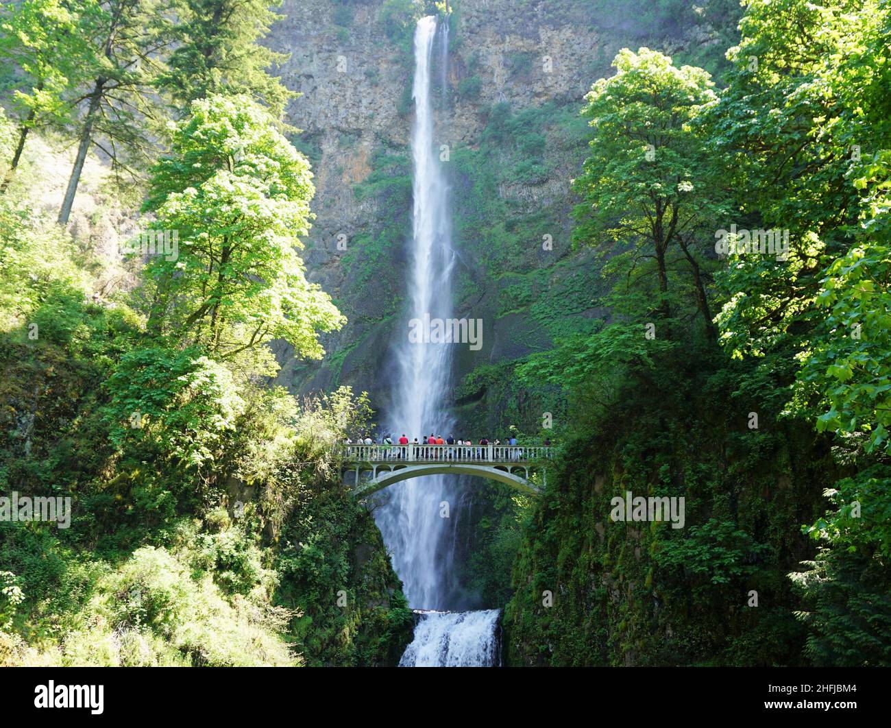 Multnomah Falls located on Multnomah Creek in the Columbia River Gorge ...
