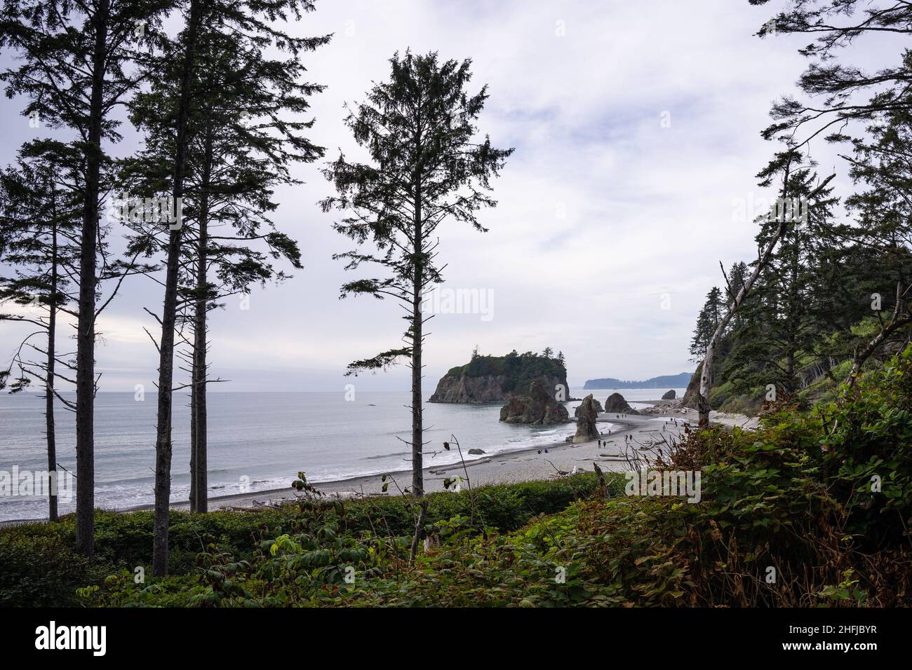 Kalaloch Beach 4 is one of Olympic National Park's best locations for ...