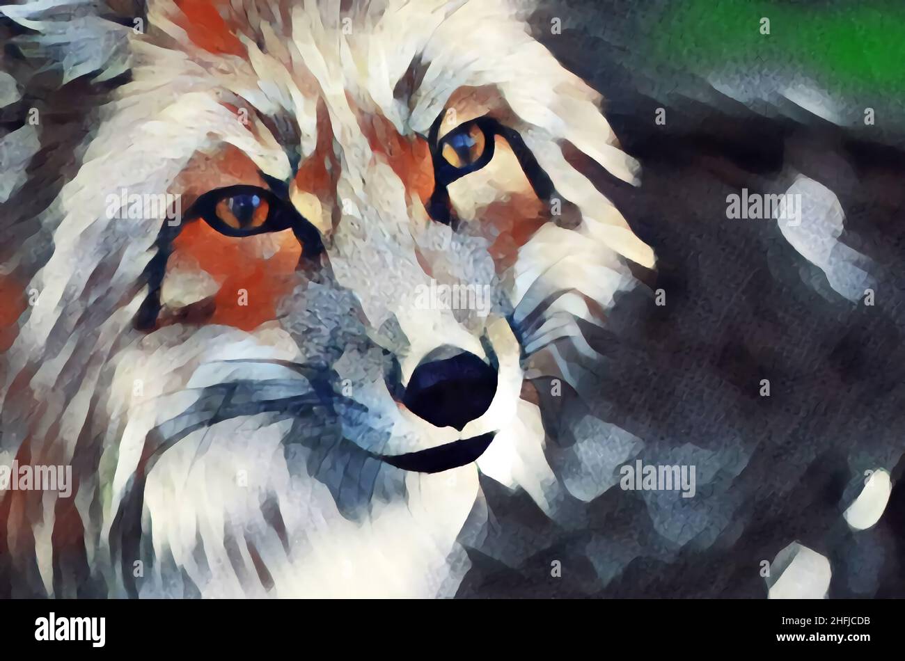 Illustration of a solitary wolf, a majestic creature from the wild ...