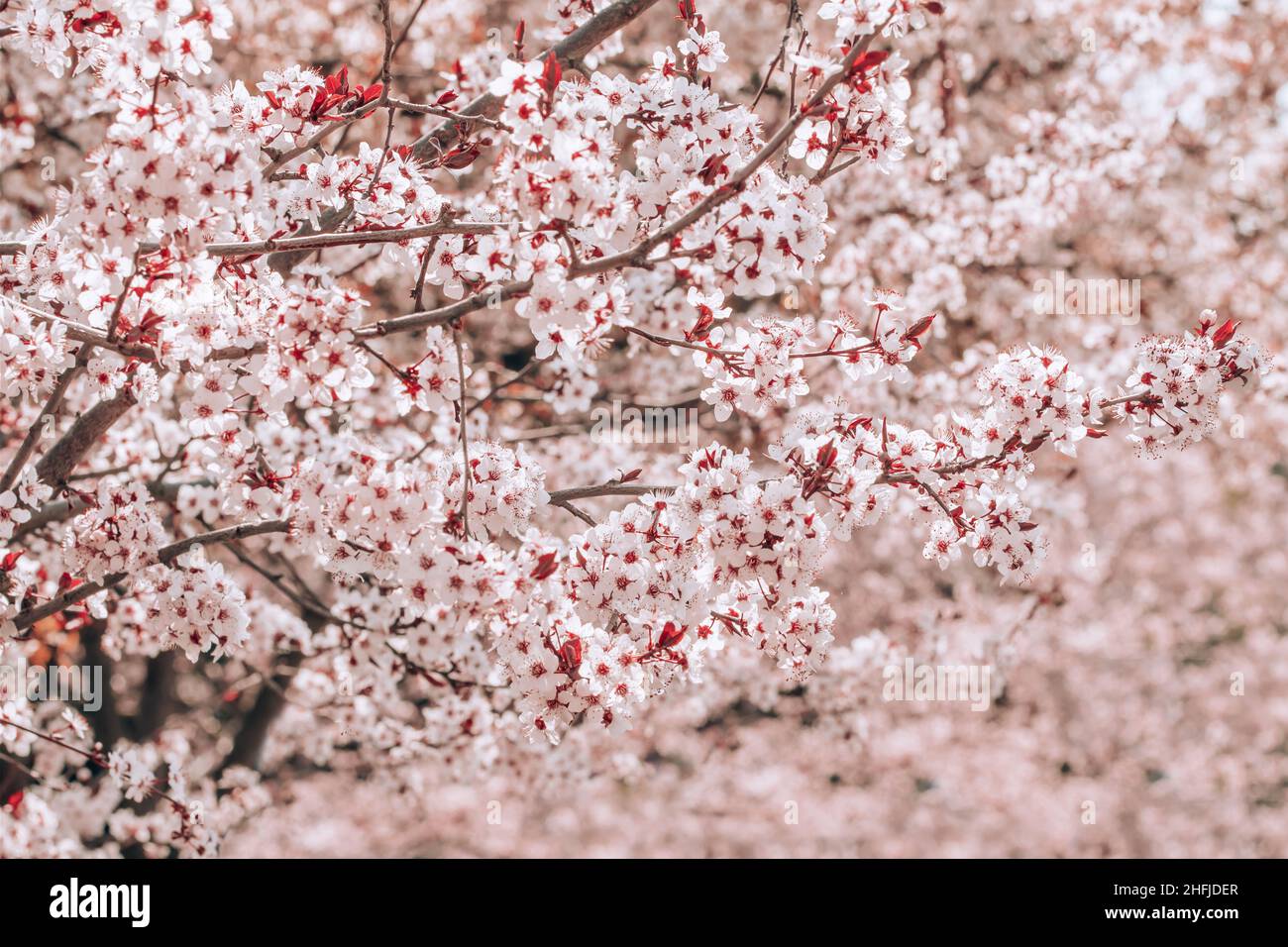 Beautiful nature scene hi-res stock photography and images - Alamy