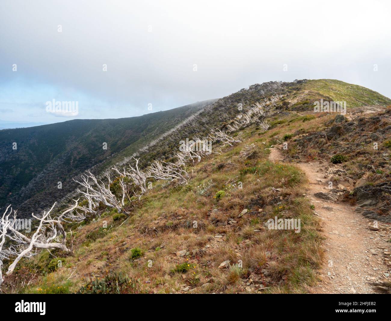 View from the walking trail between Razorback and Mount Feathertop ...