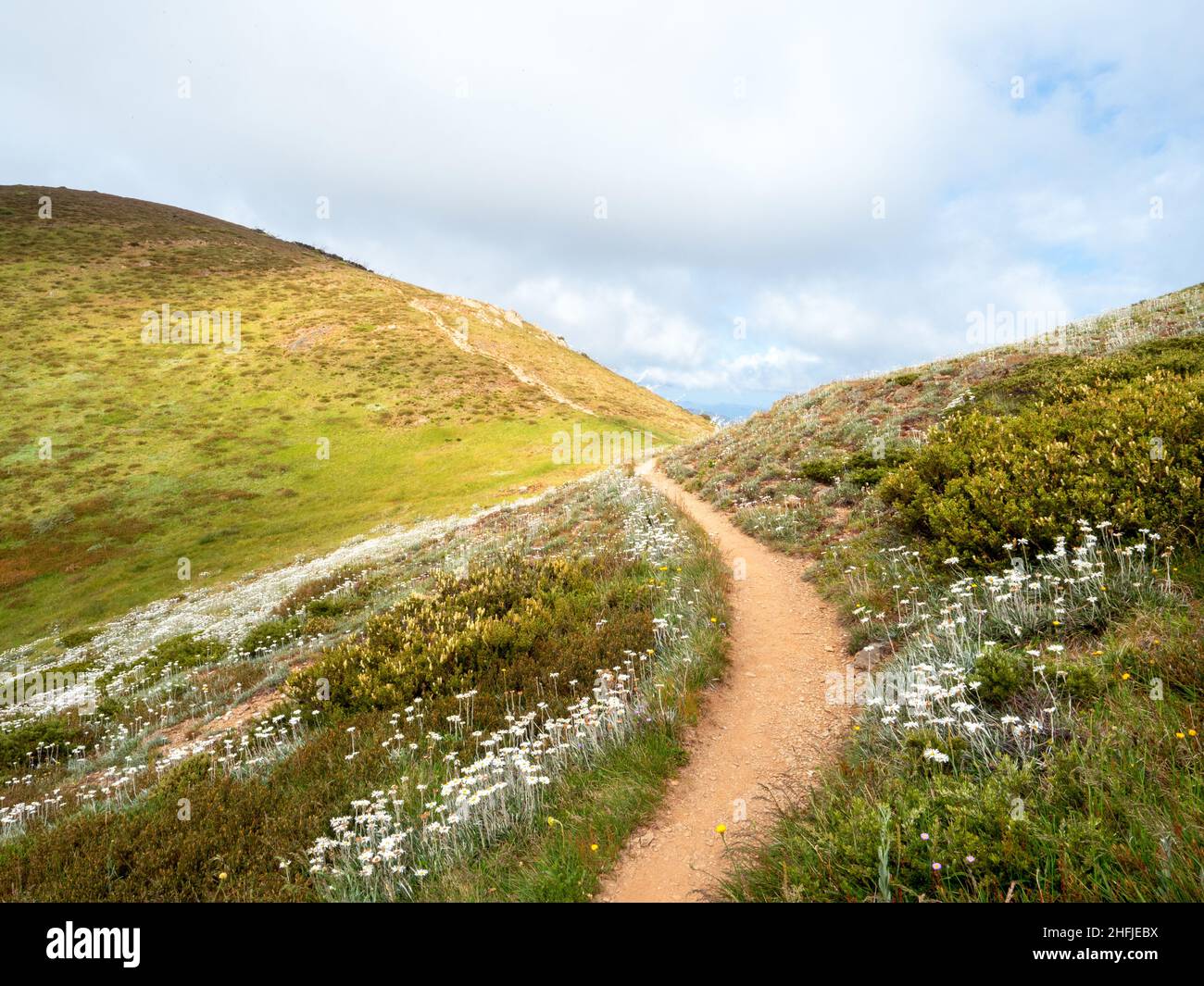 View from the walking trail between Razorback and Mount Feathertop ...