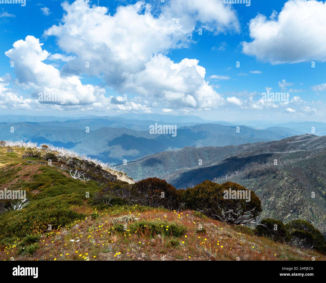 View from the walking trail between Razorback and Mount Feathertop ...