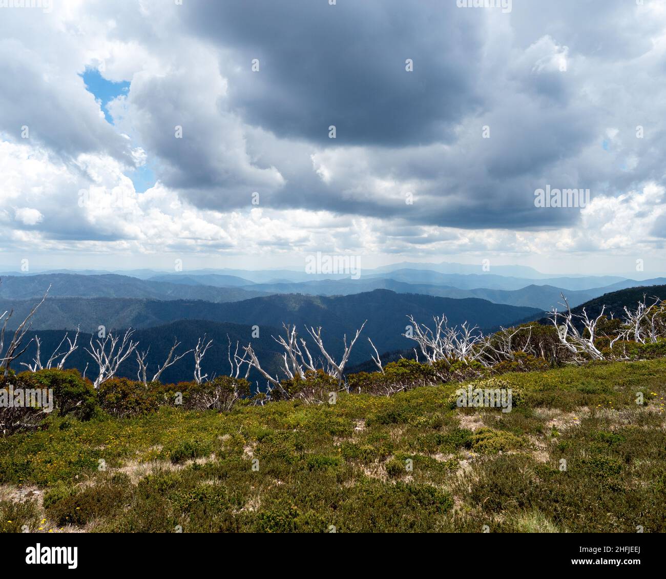 View from the walking trail between Razorback and Mount Feathertop ...