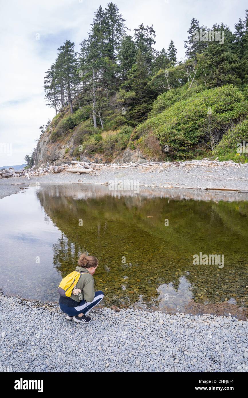 Ruby Beach is the northernmost of the southern beaches in the coastal ...