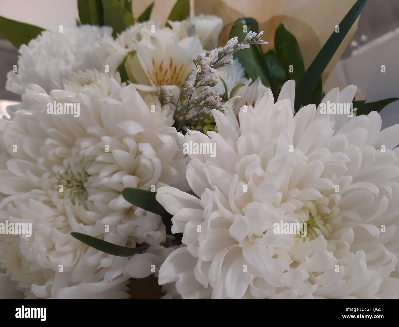 Unedited nature photo hi-res stock photography and images - Alamy