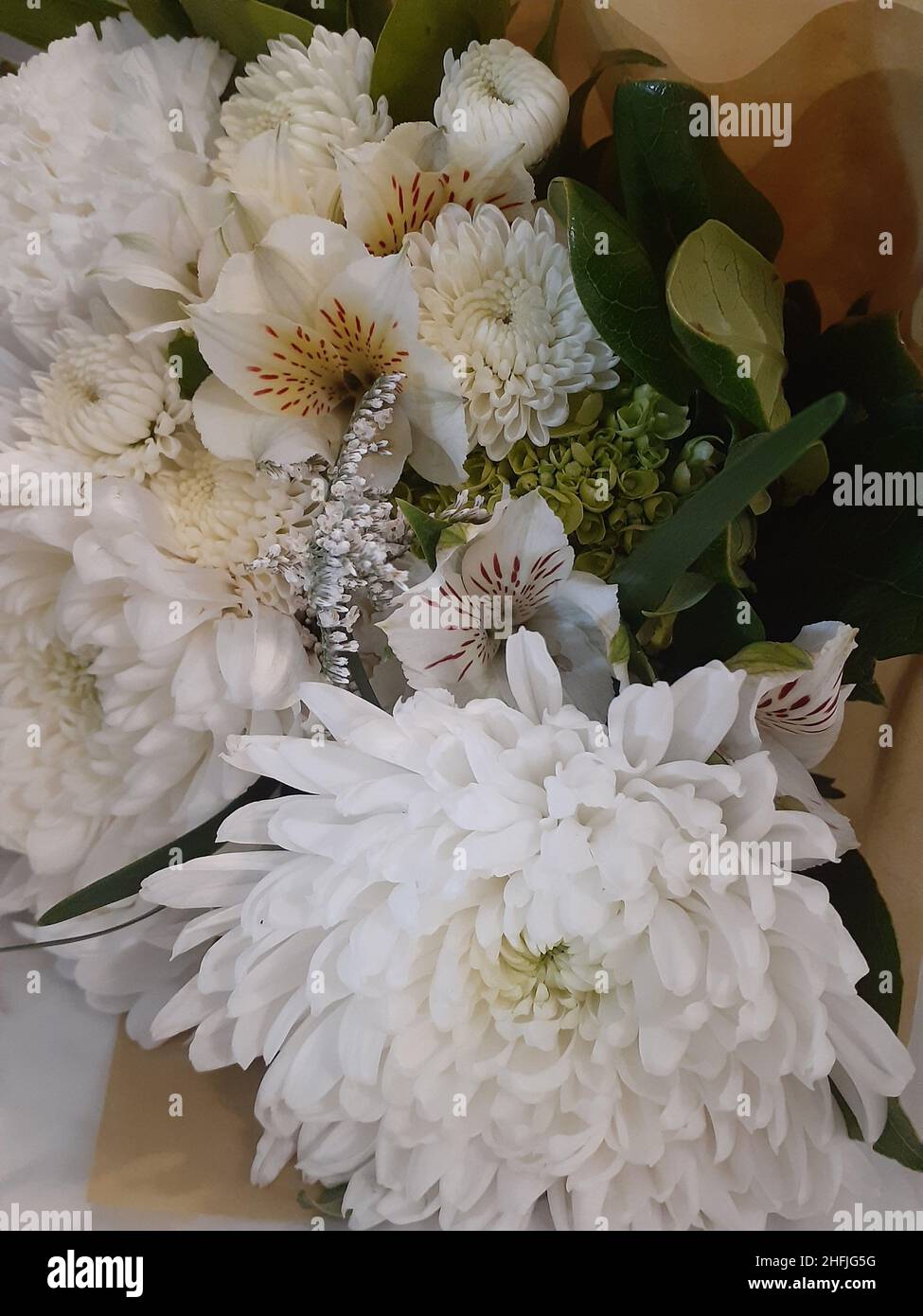 Beautiful floral display displays hi-res stock photography and images ...