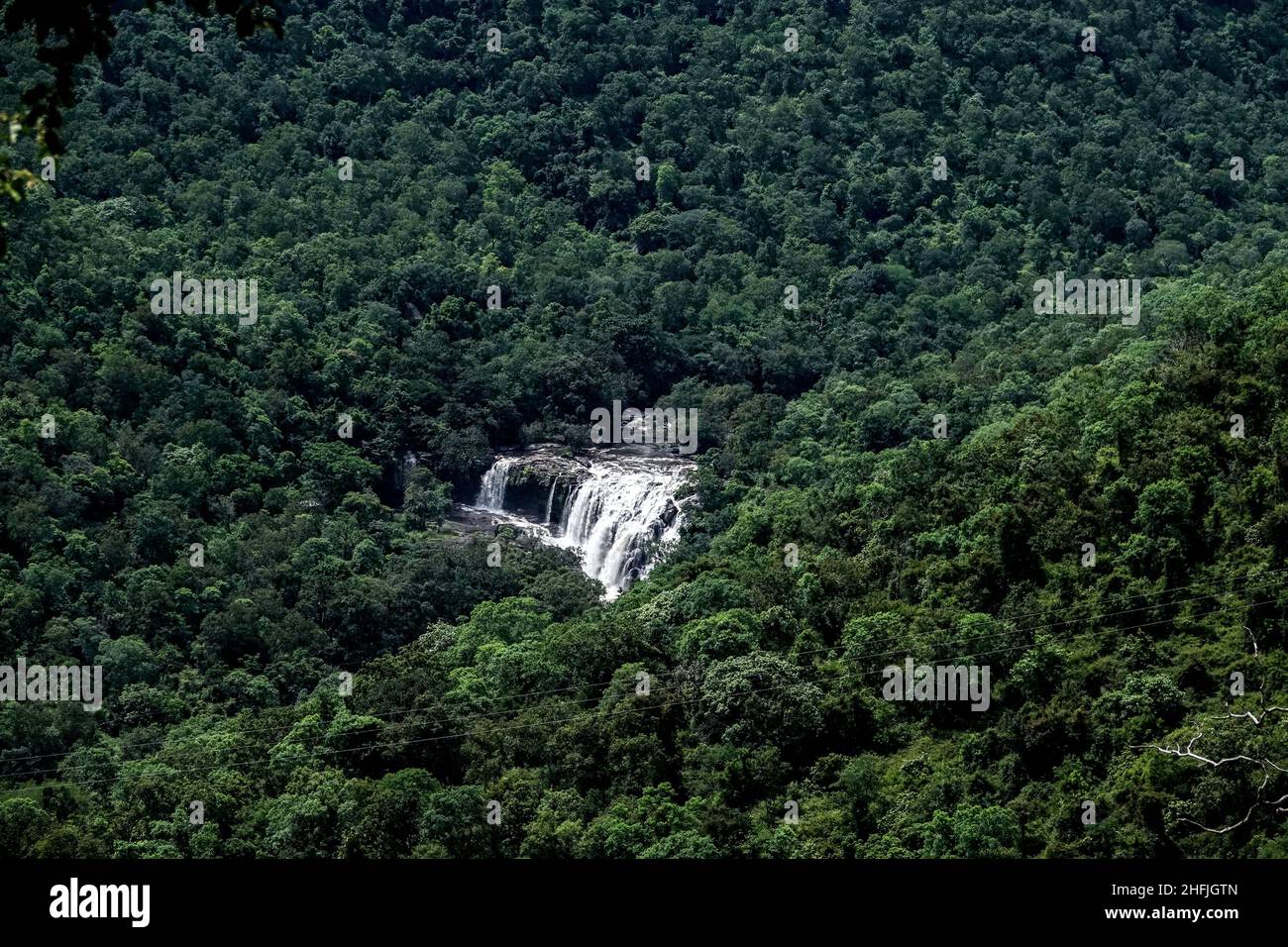 Stunning View of Thoovanam Waterfall in Cinnar wildlife sanctuary ...