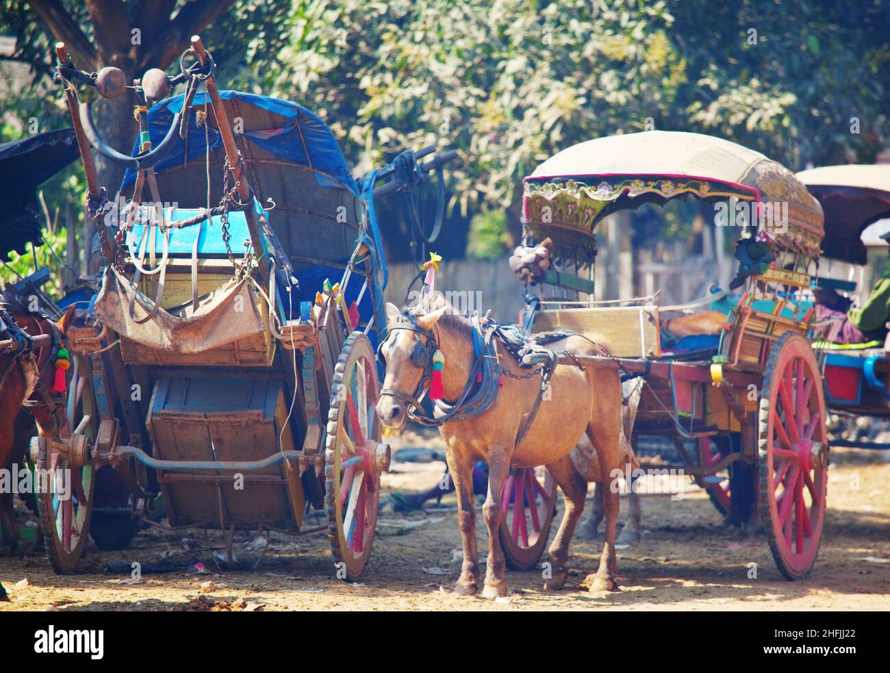 Examples Of Traditional Transportation at Anglea Ramos blog