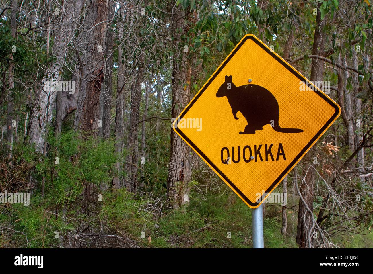 Quokka road sign Stock Photo - Alamy